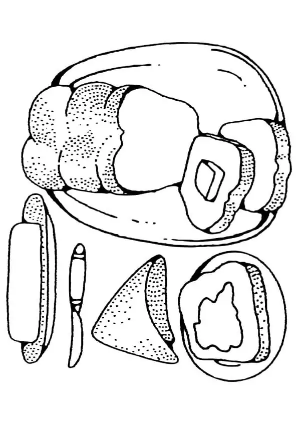 Bread Coloring Pages to Print - Free Printable Coloring Pages