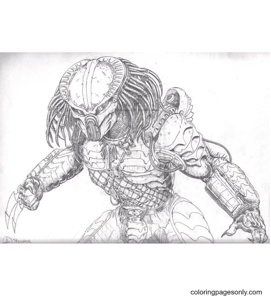 Predator Coloring Pages to Print - Free Printable Coloring Pages