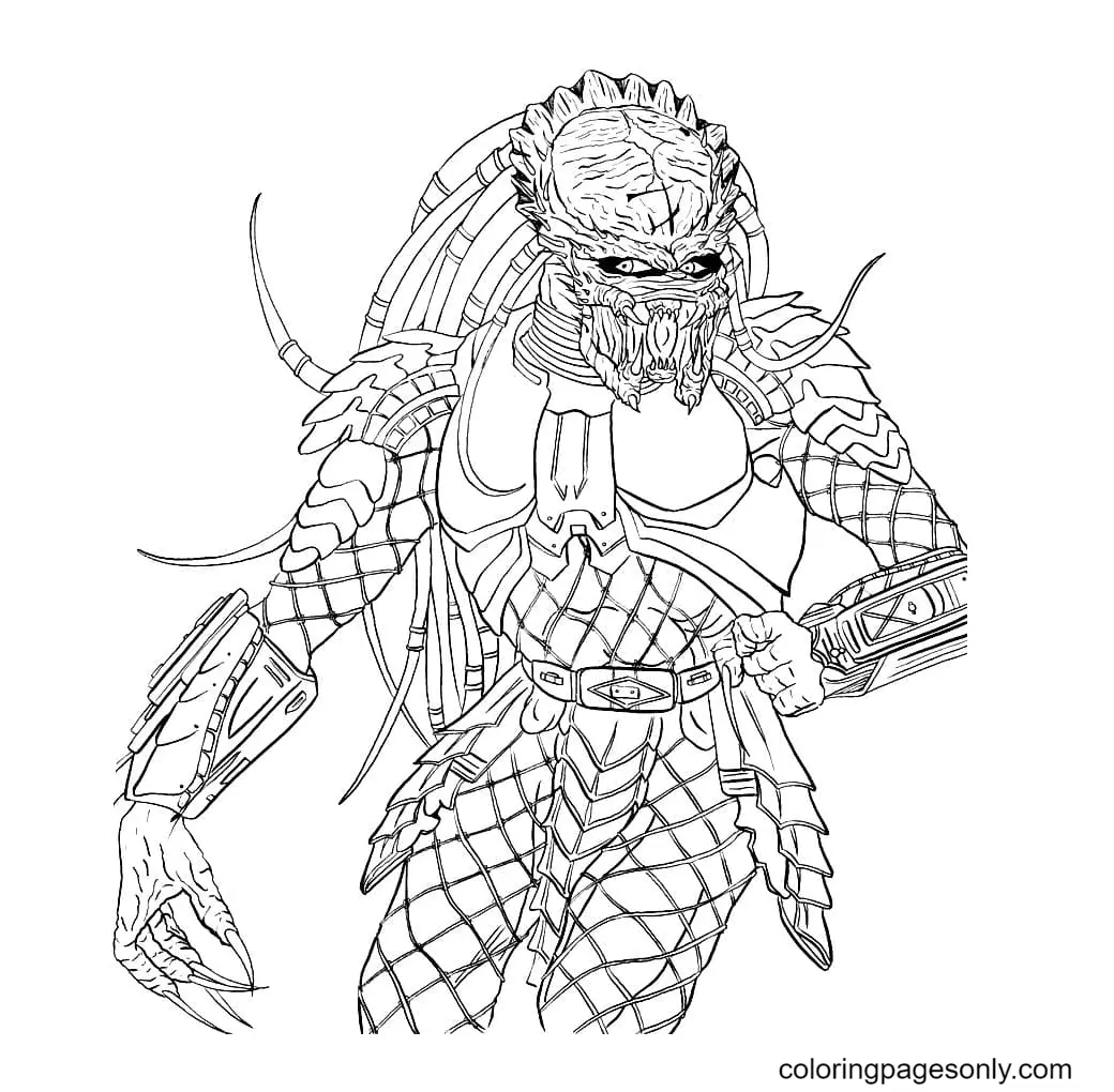 Predator Coloring Pages to Print - Free Printable Coloring Pages