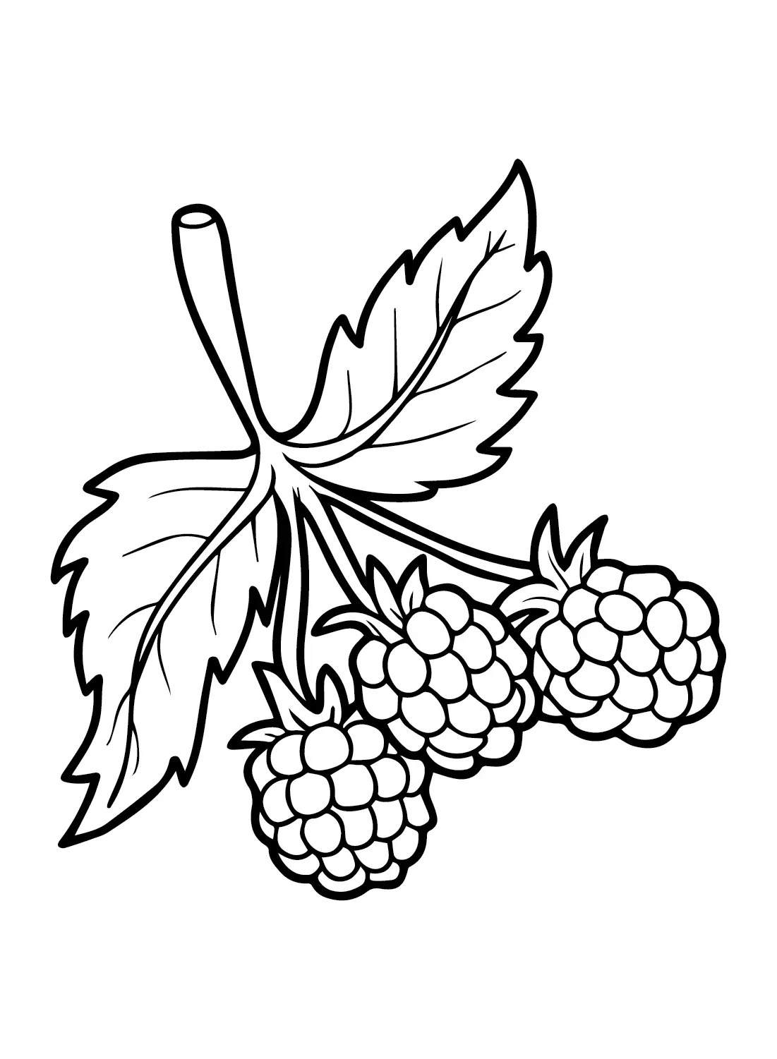 Raspberry Coloring Pages to Print - Free Printable Coloring Pages