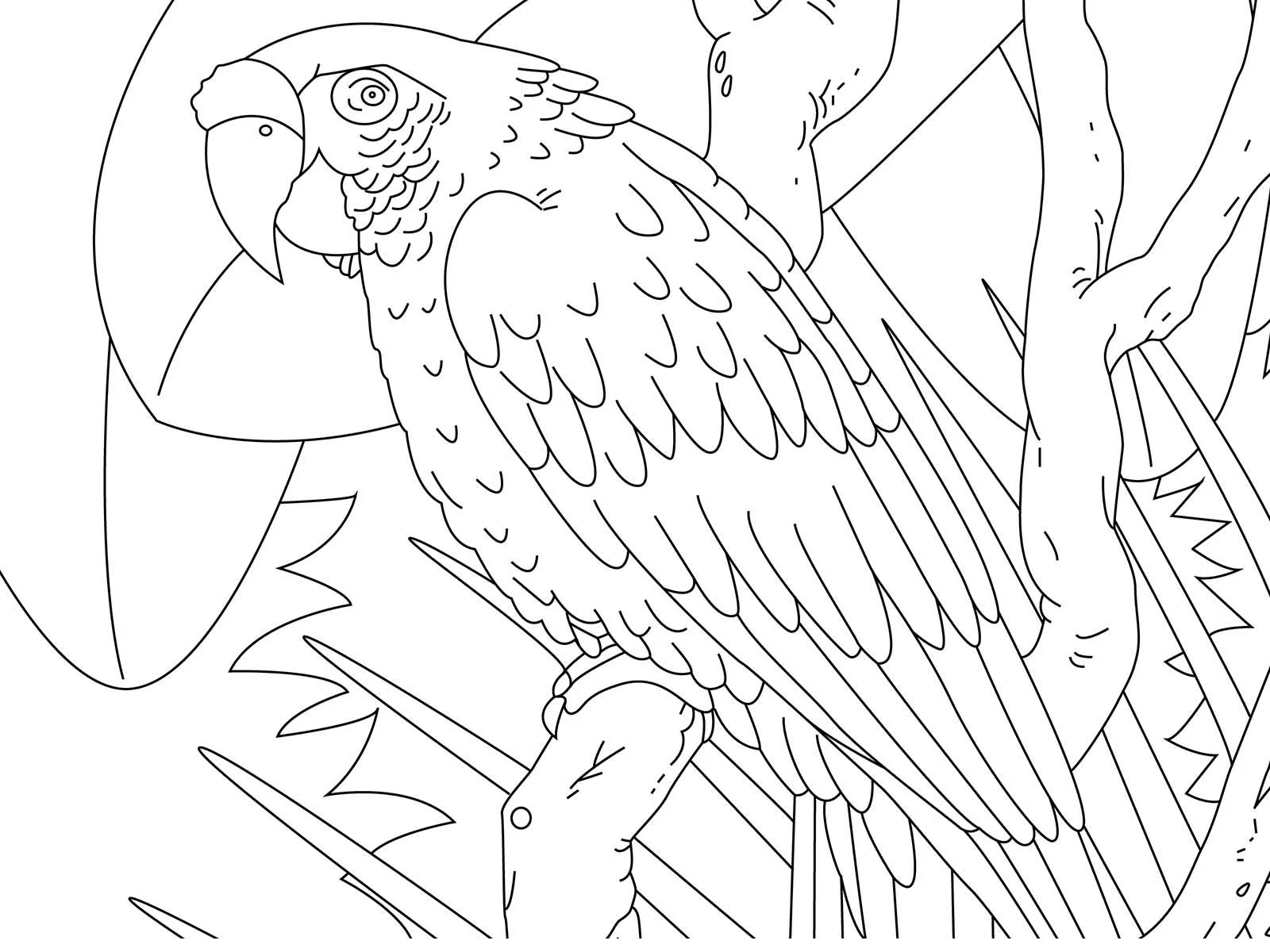 Seniors Coloring Pages to Print - Free Printable Coloring Pages