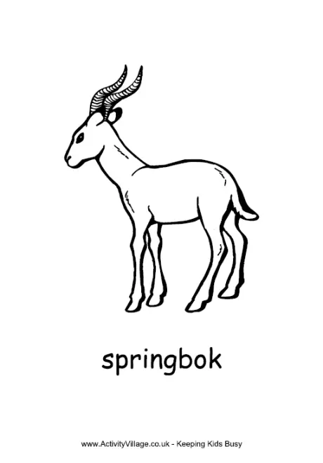 Springbok Coloring Pages to Print - Free Printable Coloring Pages