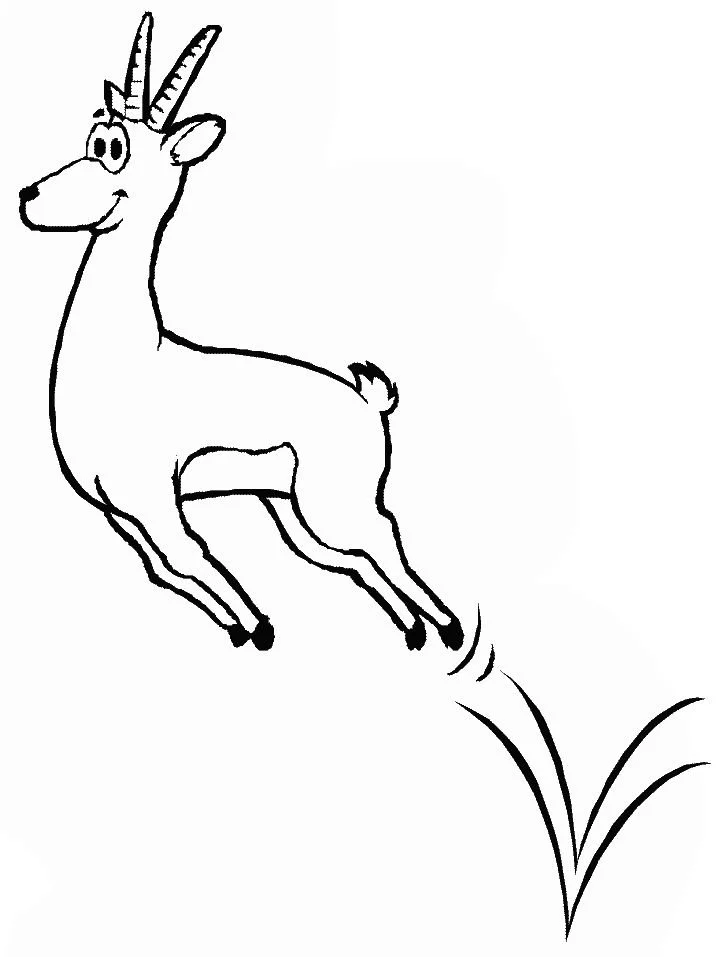 Springbok Coloring Pages to Print - Free Printable Coloring Pages